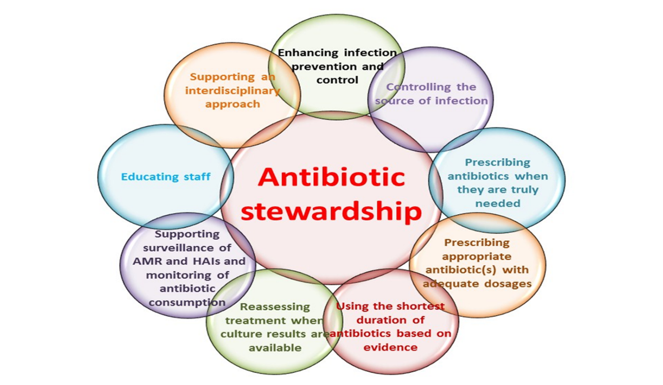 Pharmaceutical and Therapeutics Committees Webinar Day 2 - Antimicrobial Stewardship ...